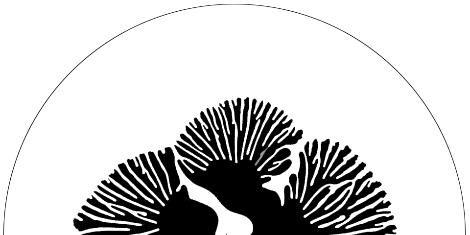 Fully funded EPSRC DTP PhD Scholarship – Cømplex Fløw Lab